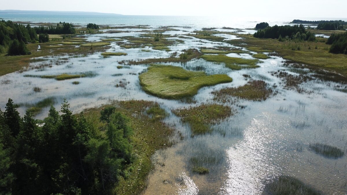 Data Analytics – Michigan Aerospace